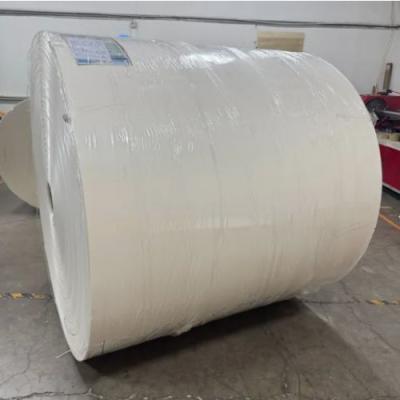 China Factory Logo Disposable Printing With Single or Double PE  Coated Coffee Paper Roll Cup Raw Material for sale