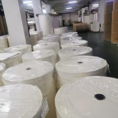 China Eco-Friendly Waterproof PLA Coated Paper Roll for Disposable Coffee Paper Roll for sale
