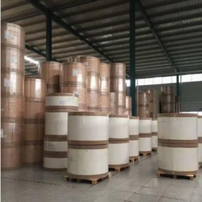 China High Quality Custom Wholesale Multiple Sizes Disposable Degradable Paper Roll for sale