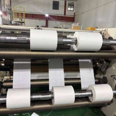 China 100% Biodegradable Single Non-Plastic Coated White Paper Cup Bottom Roll for Disposable Coffee Paper Cups for sale