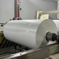 China PLA Coated Custom Printing Logo 4OZ 6OZ 8OZ 12OZ Paper Roll With Various Colors OEM Accept Waterproof for sale