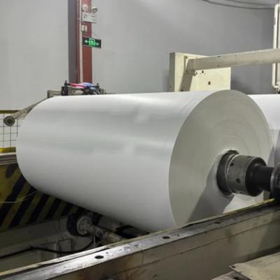 China PLA Coated Custom Printing Logo 4OZ 6OZ 8OZ 12OZ Paper Roll With Various Colors OEM Accept Waterproof for sale