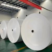 China Custom Flexo Offset Printing Die Cut Paper Rolls for Hot Drink Paper Cups for sale