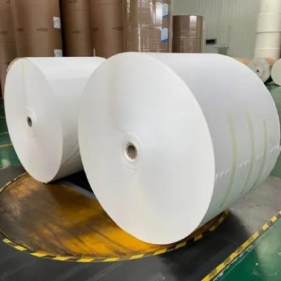 China Moisture Resistant High-temperature Resistance Double-Side PLA Coated Paper Rolls Factory Production for sale