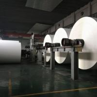 China Recyclable Paper Cups Roll Suppliers Custom Printed Double PE Coated Paper Ice Cream Cup Roll for sale