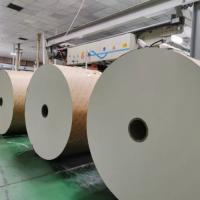China Custom Coated Paper Cup Roll Replacement PE Materials Compostable Double Walls Cup Roll for Making Rolled Paper Cups for sale