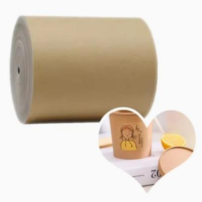 China Disposable PE Coated Paper Cup Roll Paper Manufacturer with 12oz Paper Cup Roll for Various Cups for sale