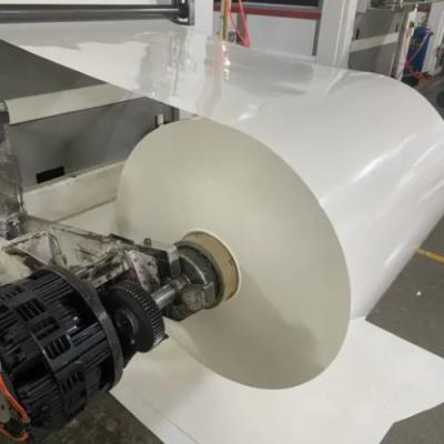 China Wood Pulp Paper Cup Raw Material PLA Coated Disposable Customized Logo Hot Drink Coffee Paper Roll for sale