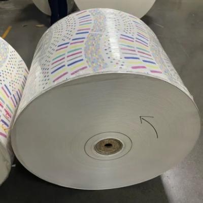 China Biodegradable No Plastic White Single Side Double Side Paper Cups Rolls Packaging Boxs Paper Cups for sale