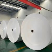 China Custom Design Eco-friendly Single Wall 8oz 10oz 12oz 14oz 16oz Disposable Hot Coffee Paper Cup Roll for sale