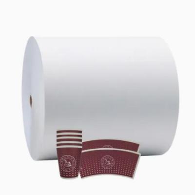 China 1-7 Various Colors Single and Double Sided PE Coated Paper Color Customized Pattern Paper Roll for sale