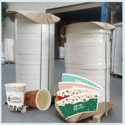 China Eco Printed 8 12 Oz Ice Disposable Drinks Design Double Wall Blanks Dessert Jelly Coffee Milk Tea Paper Rolls With PE PLA Coating for sale