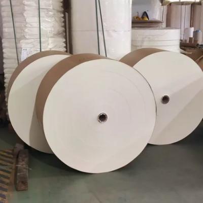 China China Leading Factory Coffee Paper Roll Paper for Coffee Cup Making 1-7 Colors Custom Designed for sale