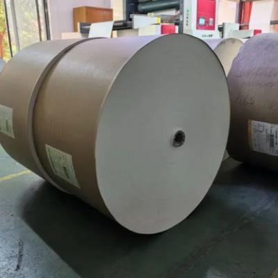 China Many Sizes Paper Coffee Cup Rolls Suit to Series Paper Cup Machine Waterproof Heat Insulation for sale