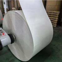 China Wholesale Price 350g Paper Roll in Stock High Bulk Oilproof Suit Various Cups PLA Coated for sale