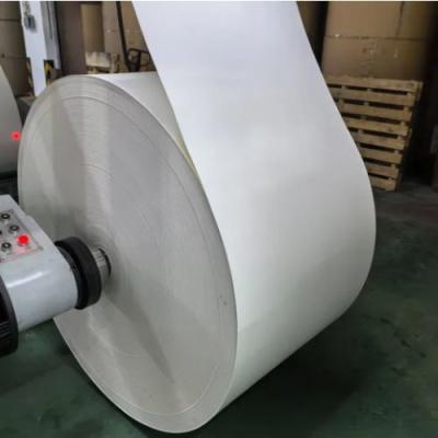 China Wholesale Price 350g Paper Roll in Stock High Bulk Oilproof Suit Various Cups PLA Coated for sale