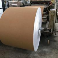 China Single Double PLA Coated Food Grade A Paper Roll Cardboard For Paper Cup Bowl And Cup for sale