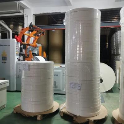 China 7oz 9oz 12oz Heat and Cold Resistance Plastic-Free Coated Printed Paper Cup Bottom Roll for sale