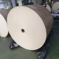 China 8OZ Offset Printing Paper Roll For Coffee Paper Factory Price With Single or Double PLA Coated for sale