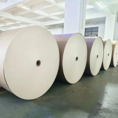China 100% Compostable 1-7 Colors Paper Rolls For Coffee Cups 14oz 16oz 20oz BPA-Free Hot Drinks Eco-Friendly Custom Logo Design for sale