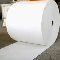 China Raw Materials Double-sided PLA Coated Paper Roll for 1-7 Colors Various Disposable Paper Cup for sale