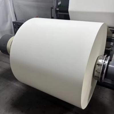 China Coffee Paper Rolls Bubble For Tea Hot Drinkin With Single or Double PLA Coated Wall Waterproof for sale