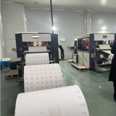 China Customizable Size Environmentally Friendly Food Packaging PLA Coated Paper Rolls for Paper Cups Disposable Fast Food Packaging for sale