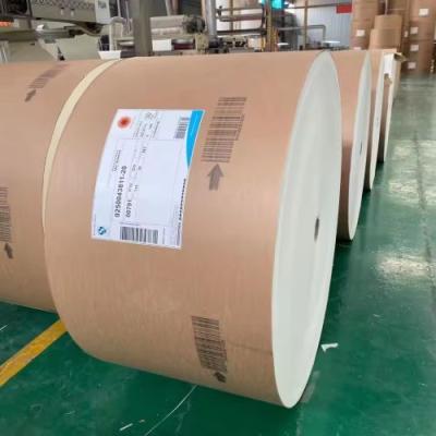 China Colorful Printed Paper Roll With PLA Coated for Beverage China Higher Quality Good Price Paper Roll for sale
