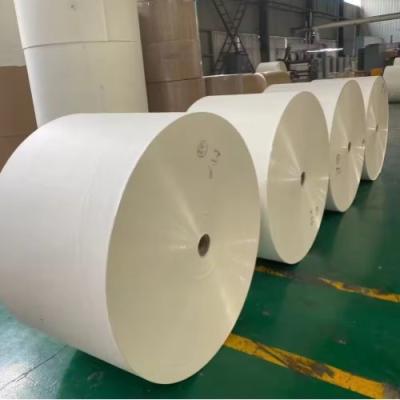 China Custom Logo Printing Paper Roll Double PLA Coated for Cold Ice Cream Coffee Tea Beverage Cups Bowls for sale