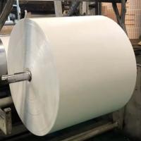 China FSC Food Grade Drink Coffee Ice Cream Salad Party Office Use Disposable PLA Coated Paper Rolls to Make Various Cups for sale