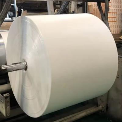 China FSC Food Grade Drink Coffee Ice Cream Salad Party Office Use Disposable PLA Coated Paper Rolls to Make Various Cups for sale