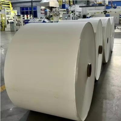 China High Quality 100% Pure PLA Coated Kraft Coffee Ice Cream Paper Cup Raw Material Roll Wholesale for sale