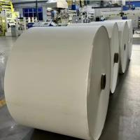 China PLA Coated Paper Cup Roll Waterproof Greaseproof Paper Cup Raw Material Single or Double PLA Cup Paper Roll for Hot Cold Drink for sale