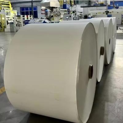 China PLA Coated Paper Cup Roll Waterproof Greaseproof Paper Cup Raw Material Single or Double PLA Cup Paper Roll for Hot Cold Drink for sale
