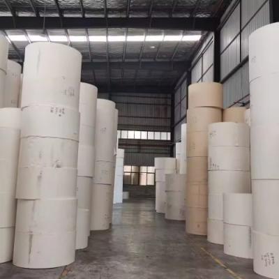 China Hot Sale Eco-Friendly Cup Paper PLA Coated 1-6 Colors Paper Roll Single and Double Side Coated Made From Virgin Wood Pulp for sale