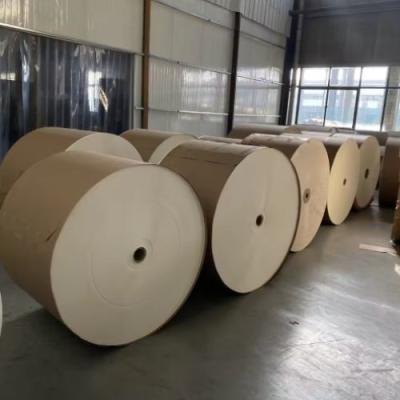 China Chinese Warehouse Produces Disposable PLA Single Wall Coated Cup Paper Customized Printing Die-cutting Paper Roll for sale