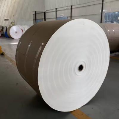 China Paper Cup Roll Supplier Waterproof Paper Roll for Carton Cups Hot Sales Paper Roll for Disposable Cups for sale