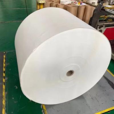 China Custom High Quality Cup Paper Roll Manufacturers Double Wall Raw Materials PLA Customized White Paper Food Fastfood Meeting Recyclable for sale