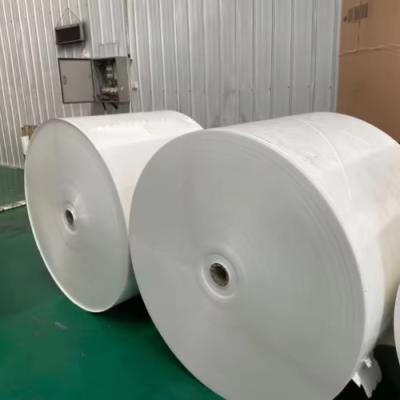 China China Manufacture Professional PLA Coated Paper Cup Roll Single Side Coating for Tea Coffee Beer Beverage for Raw Material for sale