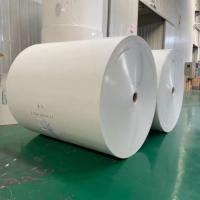 China Disposable Paper Coffee Cup Single-Sided PLA Coated for Beverage Model Paper Roll Compatible with Offset Printing for sale