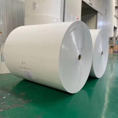 China Disposable Paper Coffee Cup Single-Sided PLA Coated for Beverage Model Paper Roll Compatible with Offset Printing for sale