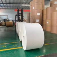 China Single Wall PLA Coated Disposable Paper Roll for Hot Coffee Noodles Pet Food Single Milk Customizable for sale