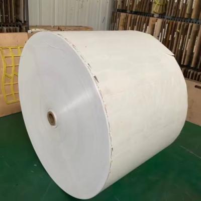 China Custom Disposable Waterproof Ripple Paper Roll 6oz 7oz 8oz Single-Sided PLA Coated for Beverage Coffee Tea Various Cups for sale