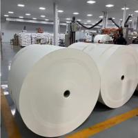China Chinese Manufacturer Good Quality Waterproof Paper Roll 190gsm 210gsm 300gsm Single or Double PLA Coated Paper Roll for Hot Drinking for sale
