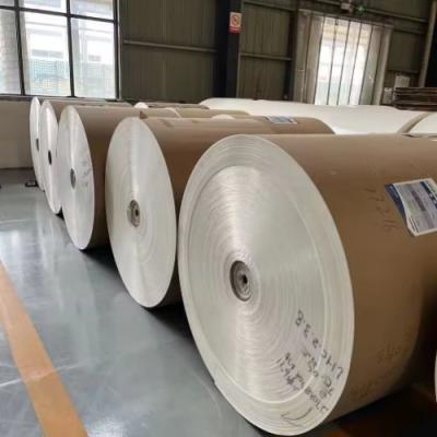 China Factory Price Paper Roll Raw Materials for Cup Making Machine 4oz 6oz 8oz Food Grade and Paper Cup Fan Die Cut Paper Roll for sale