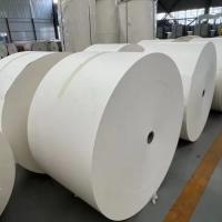 China 100% Wood Pulp Raw Material Food Grade PE PLA Coated Cardboard Designs Logo Paper Cup Bottom Roll for sale