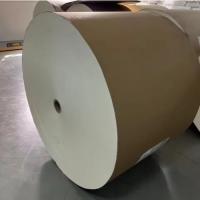 China Environmental Friendly Paper Roll for Drink Food Grade Single Side PLA Coated Heat Insulation for sale