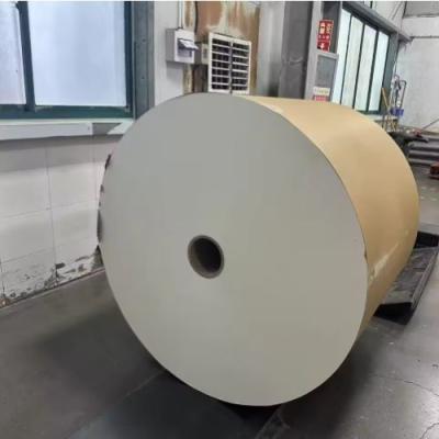 China PE Coated Paper Roll Offering Excellent Waterproof and Greaseproof Performance for sale