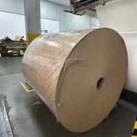 China Compostable PE Coated Paper Roll with Excellent Oil Resistance for sale