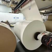 China 180 to 350 GSM PE Coated Paper Roll Compostable Paper Stock for sale